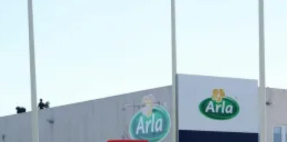 Arla-medarbejdere nedlægger arbejde | ONP.dk