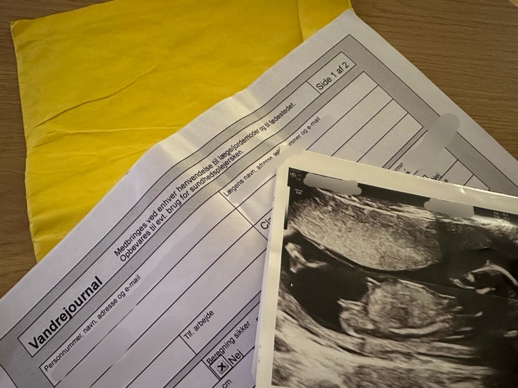 Gravid kvinde mister baby: Nu advarer myndigheder alle gravide | ONP.dk